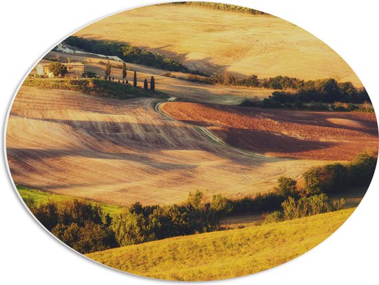 PVC Schuimplaat Ovaal - Natuurlandschap in de Zomerse Zonnestralen ...