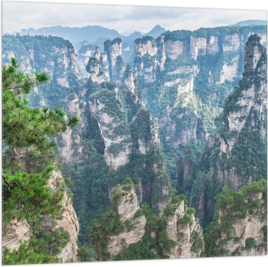 Vlag - Hoge Stijle Rotsen met Minimale Begroeiing in Zhangjiajie, China ...