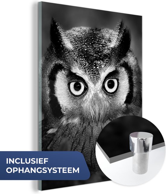 Glasschilderij - Foto op glas - Wilde dieren - Uil - Vogel - Zwart ...