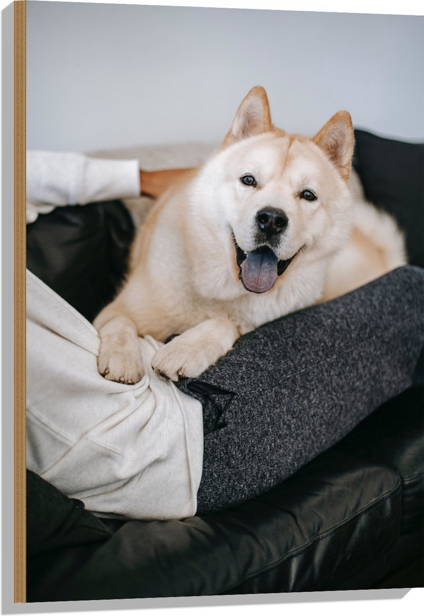 Hout - Lachende Akita Hond op Schoot van Baasje - 60x90 cm - 9 mm dik ...