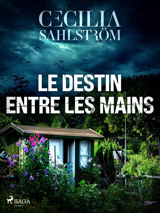 Sara Vallén 2 - Le Destin entre les mains (ebook), Cecilia Sahlström ...