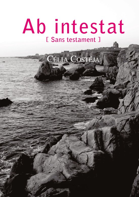Ab intestat (ebook), Célia Costéja | 9782322508594 | Boeken | bol.com