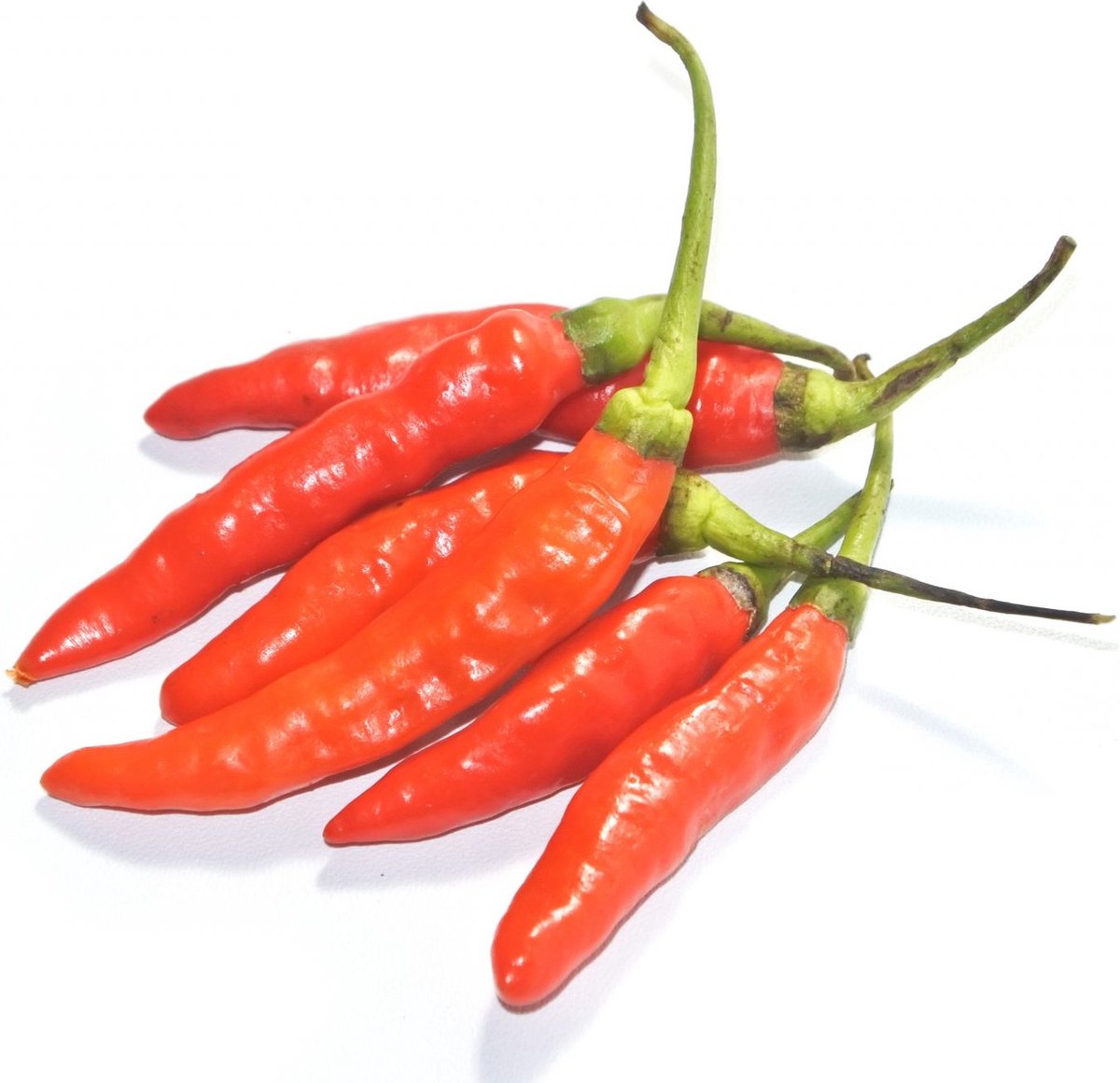 Rawit peper zaden. Voor het zelf kweken in moestuin, op balkon of in de ...