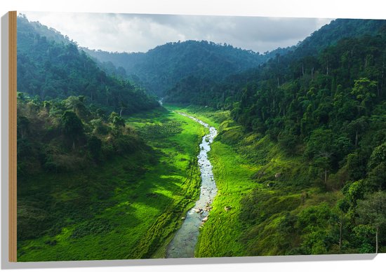 WallClassics - Hout - Smal Riviertje tussen Felle en Donkergroene ...