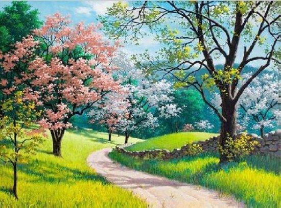 Diamond painting de luxe 40x50cm - Park in de lente | bol.com