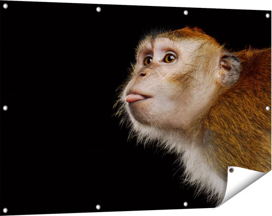 Gards Tuinposter Apenkop met Zijn Tong uit - Aap - 120x80 cm - Tuindoek ...