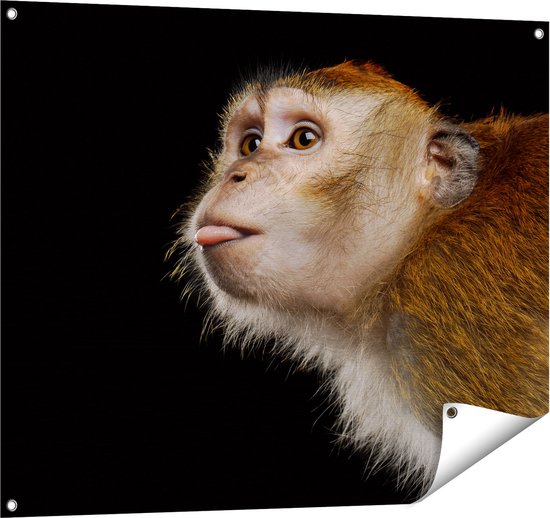 Gards Tuinposter Apenkop met Zijn Tong uit - Aap - 100x80 cm - Tuindoek ...