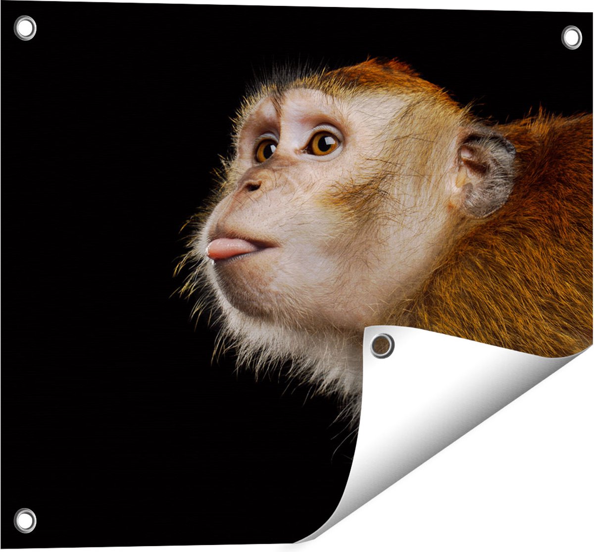 Gards Tuinposter Apenkop met Zijn Tong uit - Aap - 50x40 cm - Tuindoek ...