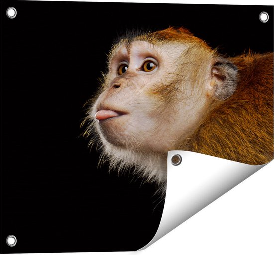 Gards Tuinposter Apenkop met Zijn Tong uit - Aap - 50x40 cm - Tuindoek ...