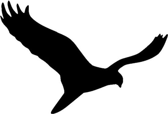 Kiekendief sticker Flevoland - 10x14cm - zwart - topkwaliteit folie | bol