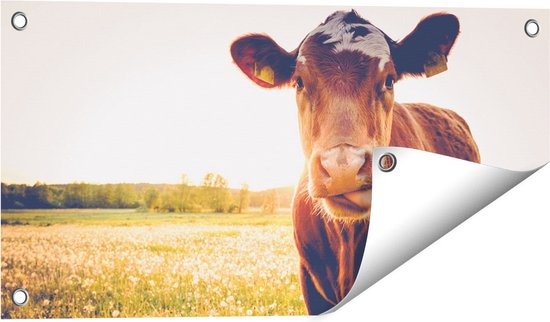 Gards Tuinposter Koe in de Wei tijdens Zonsondergang - 60x30 cm ...