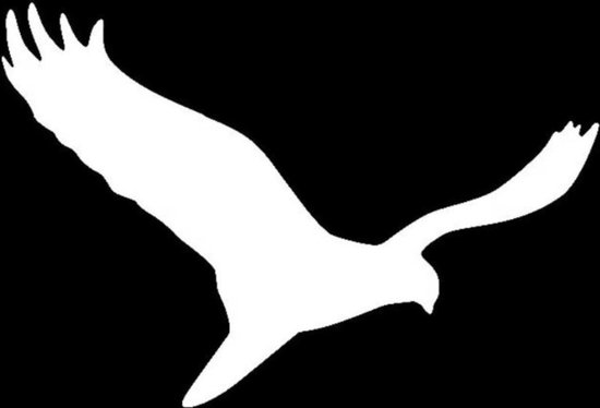 Kiekendief sticker Flevoland - 10x14 cm - wit - geplot uit Vinyl folie ...