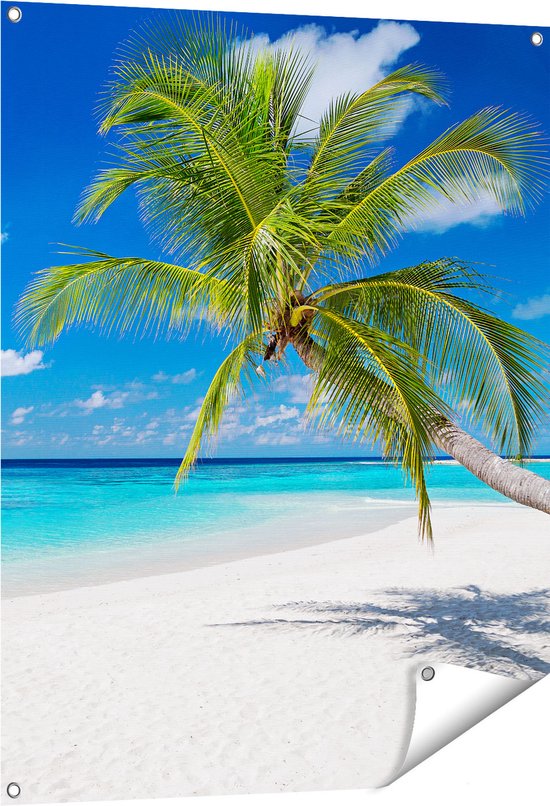 Gards Poster de jardin Plage tropicale avec un palmier - 80x100 cm ...