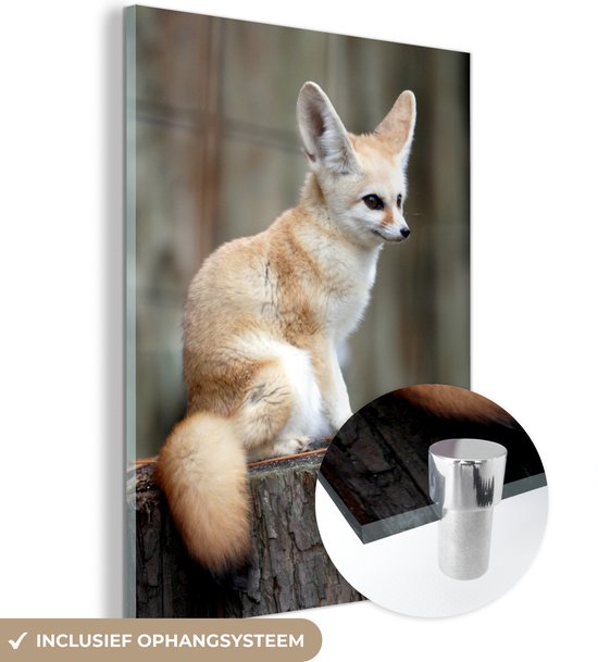 MuchoWow® Glasschilderij 120x160 cm - Schilderij acrylglas - Vos - Boomstam - Foto op... | bol