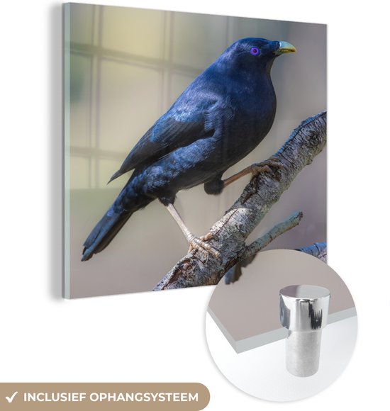 MuchoWow® Glasschilderij 20x20 cm - Schilderij acrylglas - Blauwe ...