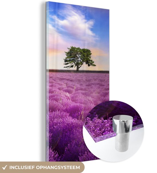 Glasschilderij - Foto op glas - Lavendel - Bloemen - Boom - Zon ...