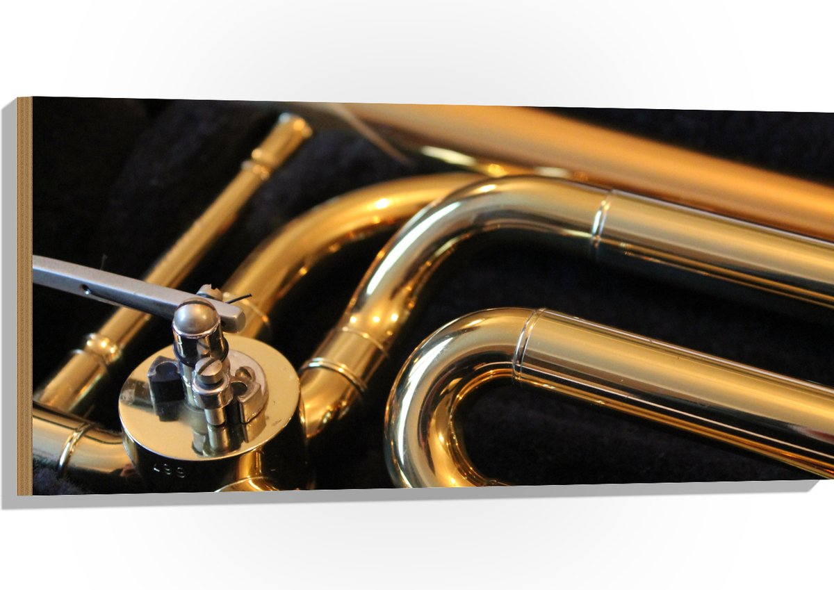 Hout - Gouden Details van Blaasinstrument - 100x50 cm - 9 mm dik - Foto ...