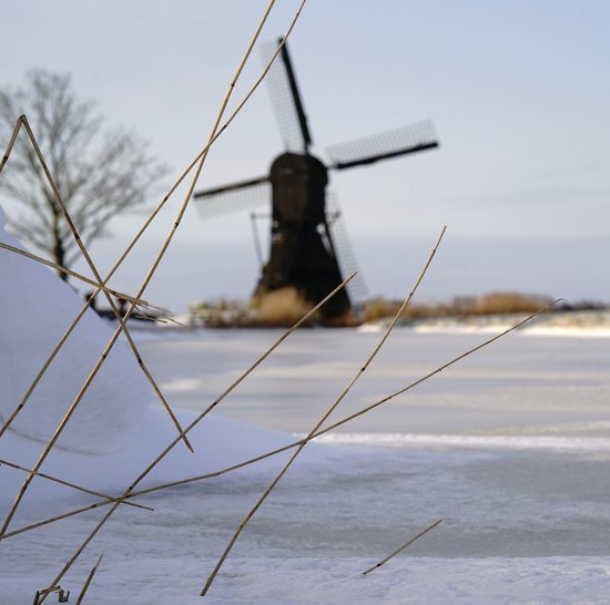 Foto op canvas molen in de winter - 20 x 20 cm | bol