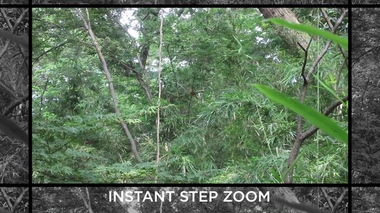 Canon Powershot Zoom - Compactcamera - Essential Kit + Case - Zwart | bol