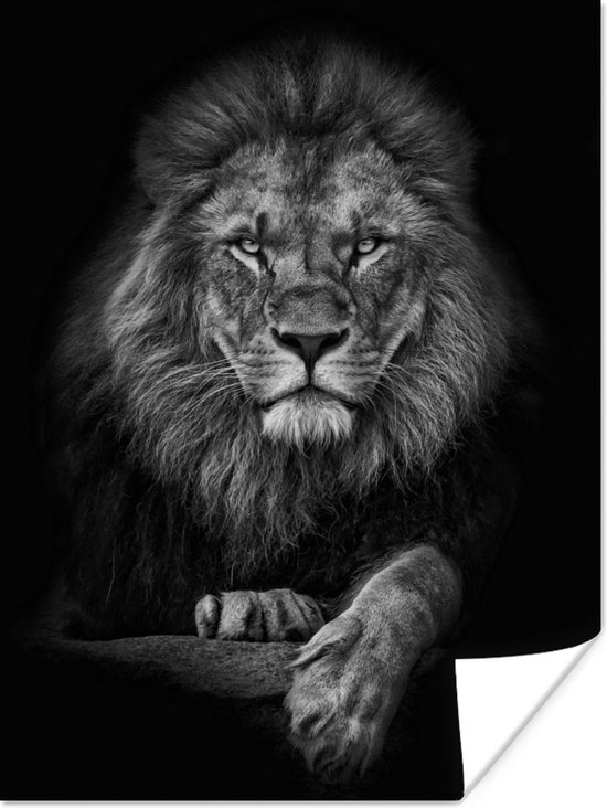Poster Leeuw - Dieren - Zwart - Wit - 120x160 cm XXL - Kamer decoratie ...