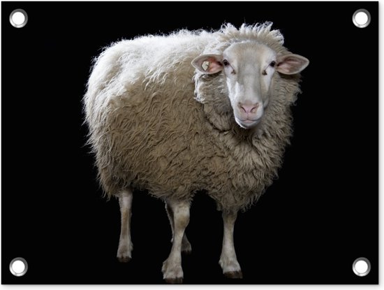Tuin decoratie Schaap - Boerderijdieren - Zwart - 40x30 cm - Tuindoek ...