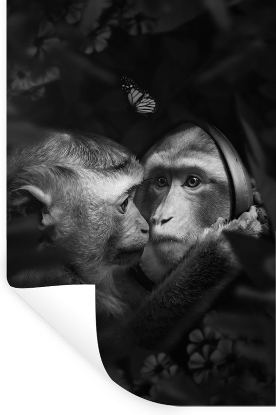 Muurstickers - Sticker Folie - Spiegelbeeld van een aap in de jungle - zwart wit -... | bol