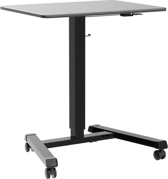 BONTEC Bureau debout mobile réglable en hauteur 65 × 45 cm, avec 4 ...