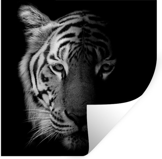 Muurstickers - Sticker Folie - Tijger - Dieren - Wild - Zwart - Wit - 120x120 cm -... | bol