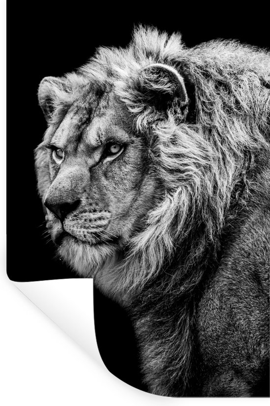 Muurstickers - Sticker Folie - Leeuw - Portret - Wilde dieren - Zwart - Wit - 80x120... | bol