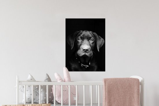 Muurstickers - Sticker Folie - Hond - Licht - Zwart - 30x40 cm - Plakfolie -... | bol