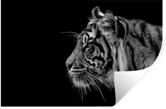 Muurstickers - Sticker Folie - Tijger op zwarte achtergrond in zwart-wit - 90x60 cm -... | bol