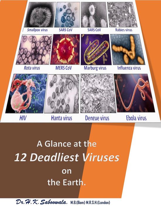 A Glance at the 12 Deadliest Viruses on the Earth. (ebook), Hakimuddin ...