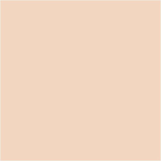 Acrylverf \'plus Color\' Ivory Light Fleshtone 60ml | bol.com