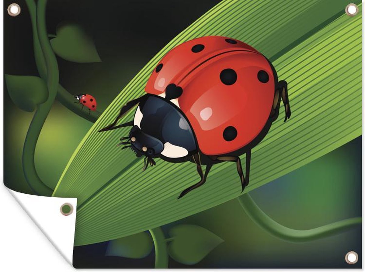 Une illustration en gros plan d'une affiche de jardin coccinelle 160x120 cm - Toile de... | bol.com