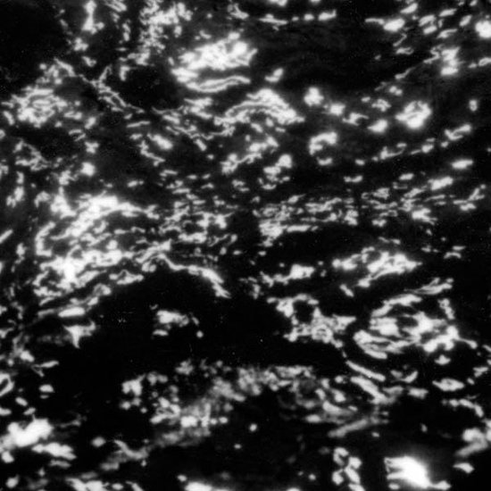 Aia: Alien Observer, Grouper | LP (album) | Muziek | bol.com