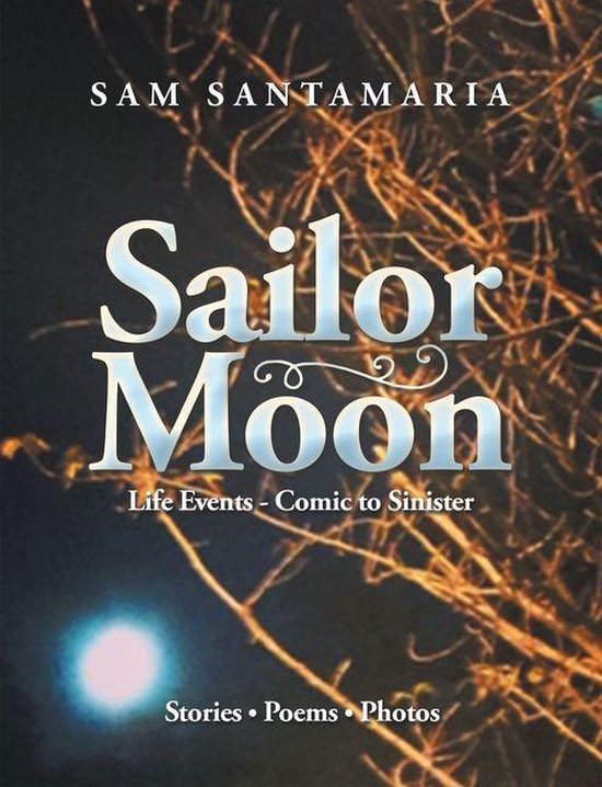 Sailor Moon (ebook), Sam Santamaria | 9781728321059 | Boeken | bol.com