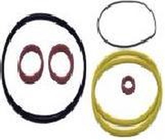 Gasket Kits for Cylinder Liner - Diesel Engines (875550) | bol