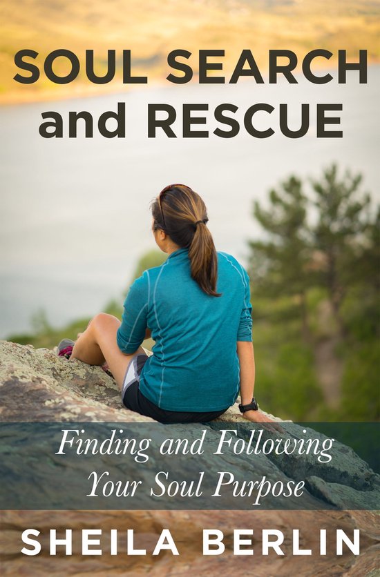 Soul Search and Rescue: Finding and Following Your Soul Purpose (ebook ...