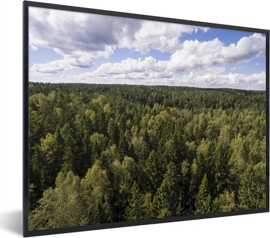 Fotolijst incl. Poster - Bomen zo ver het oog reikt onder de hemel in ...