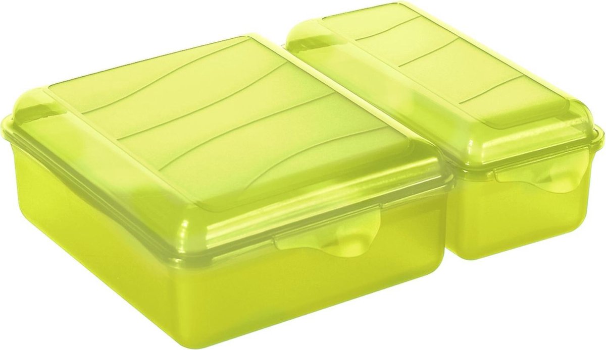 Rotho lunchbox FUN 1,6 l (22 x 16 x 7 cm) transparant 1600 ml | bol.com