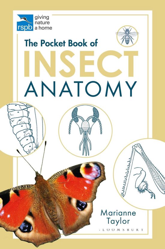 RSPB - The Pocket Book of Insect Anatomy (ebook), Ms Marianne Taylor ...