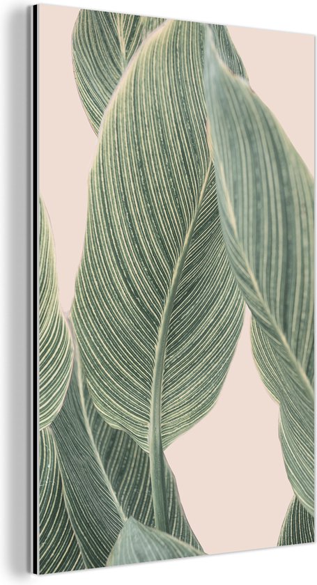 Plant - Groen - Natuur - Beige | bol.com
