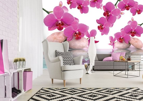 Fotobehang - Vlies Behang - Roze Orchideeën, Stenen en Water - Spa ...