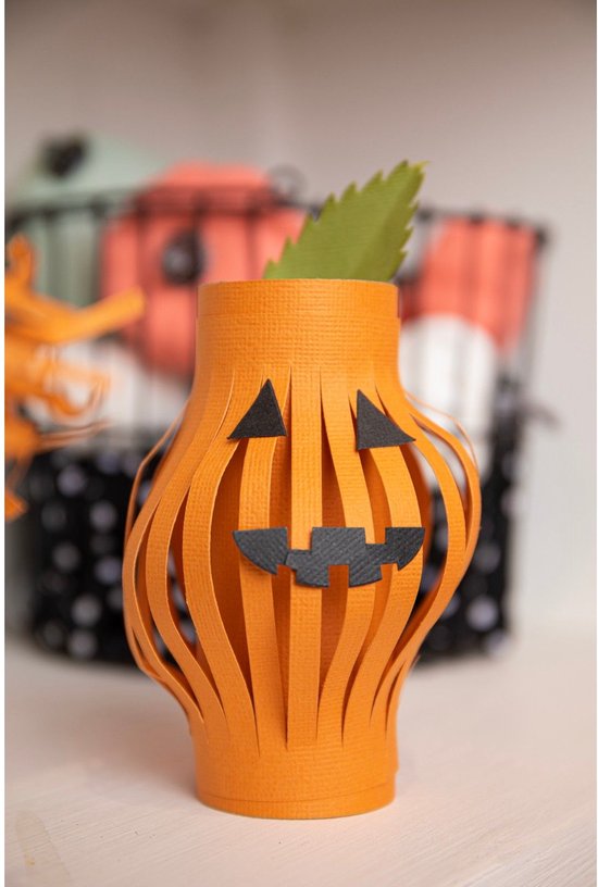Sizzix Thinlits Die Set 3D Lantern | bol