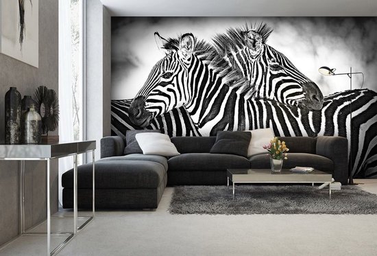Fotobehang - Vlies Behang - Zebra's - Zebra - 368 x 254 cm | bol