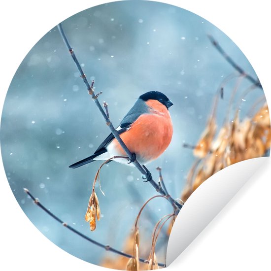 WallCircle - Muurstickers - Behangcirkel - Roodborstje - Vogel - Sneeuw -... | bol.com