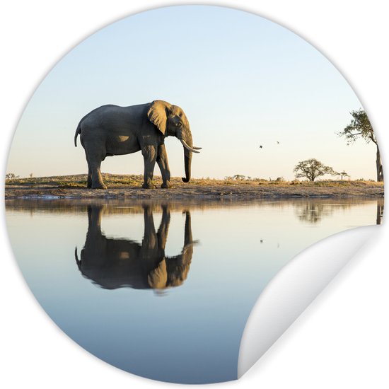 WallCircle - Muurstickers - Behangcirkel - Olifant - Water - Bomen - Dieren - Natuur -... | bol.com