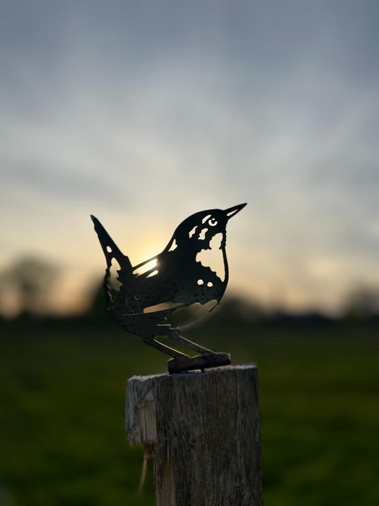Winterkoninkje - metalen vogel - cortenstaal - NL product - | bol.com