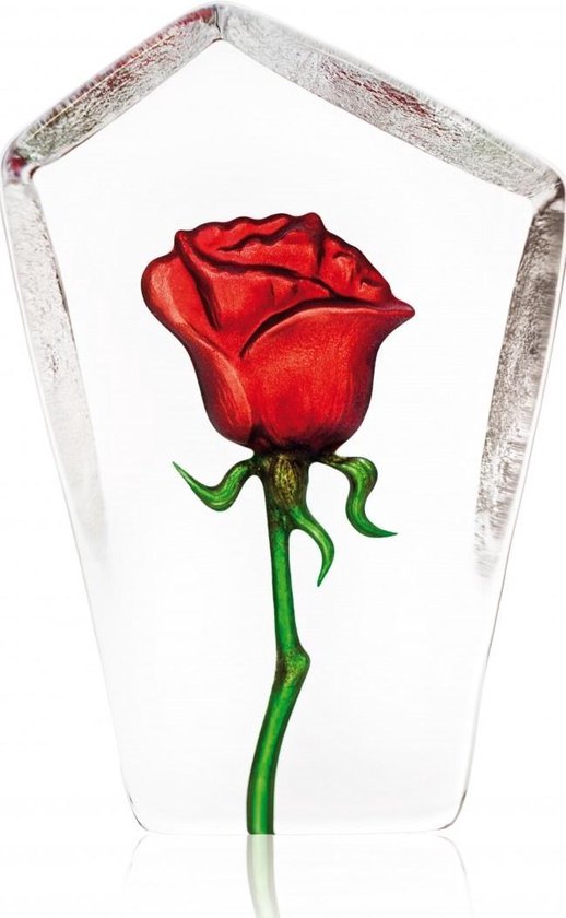 Mats Jonasson Roos | bol