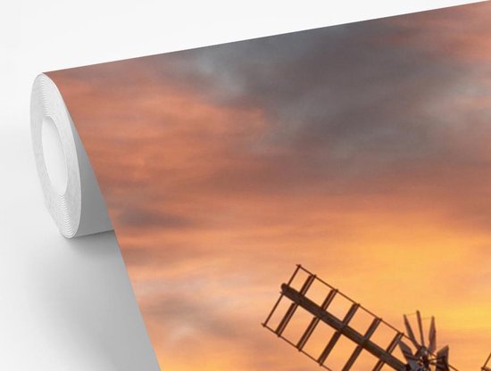 Fotobehang Nationaal park The Broads - Silhouet van molen in Nationaal ...